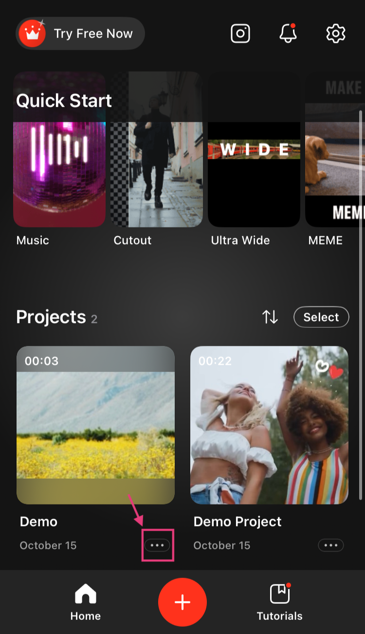 How to Duplicate Projects – VDIT - Video Editor