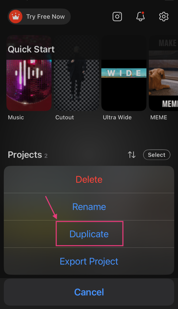 How to Duplicate Projects – VDIT - Video Editor